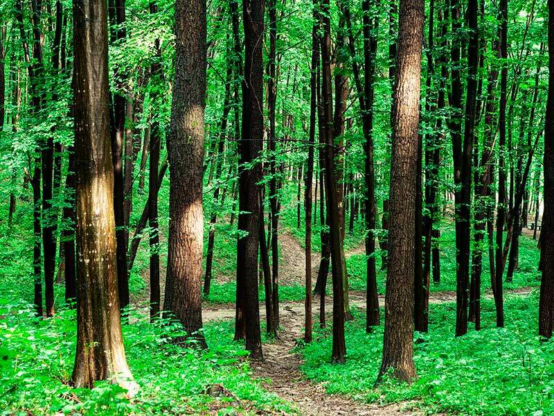 twoday | Digitale løsninger til det private og offentlige